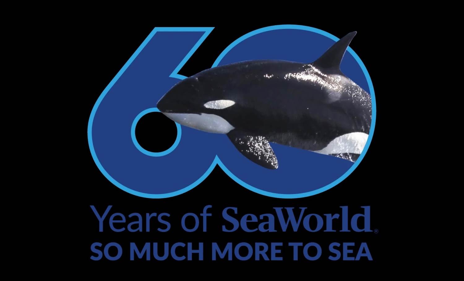 SeaWorld To Kick Off 60 Years With New Experiences and Celebrations ...