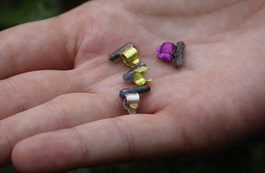 Disney Shares Look at Technology Used To Study Birds at Disney's Animal ...