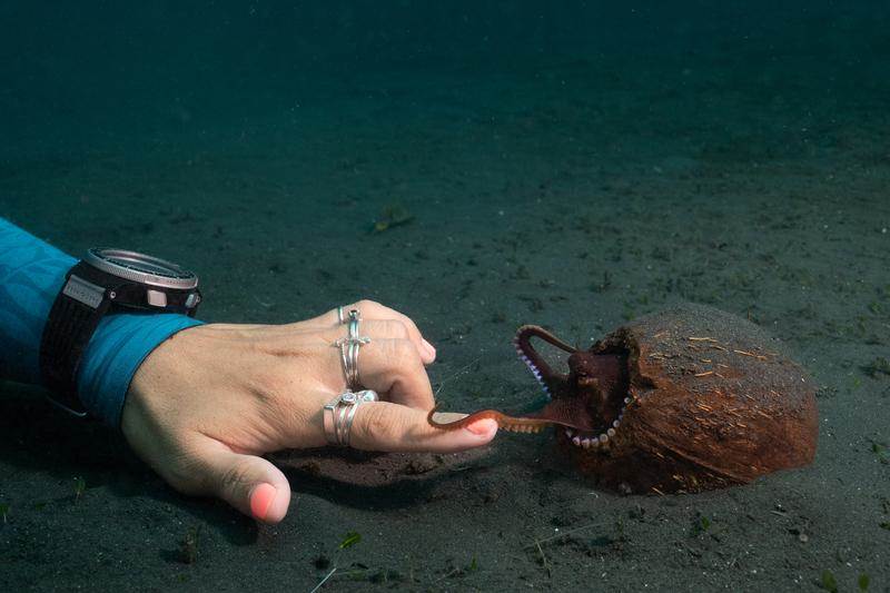 TV Review: James Cameron Explores Invertebrate Superpowers with ...