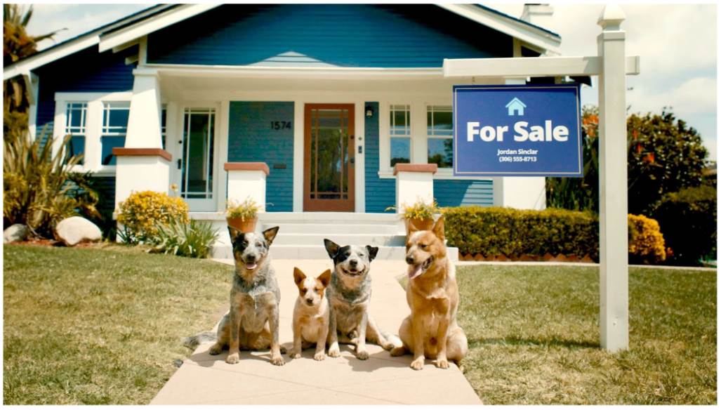 Newest “Bluey” Episode Inspires Zillow Ad Campaign - LaughingPlace.com