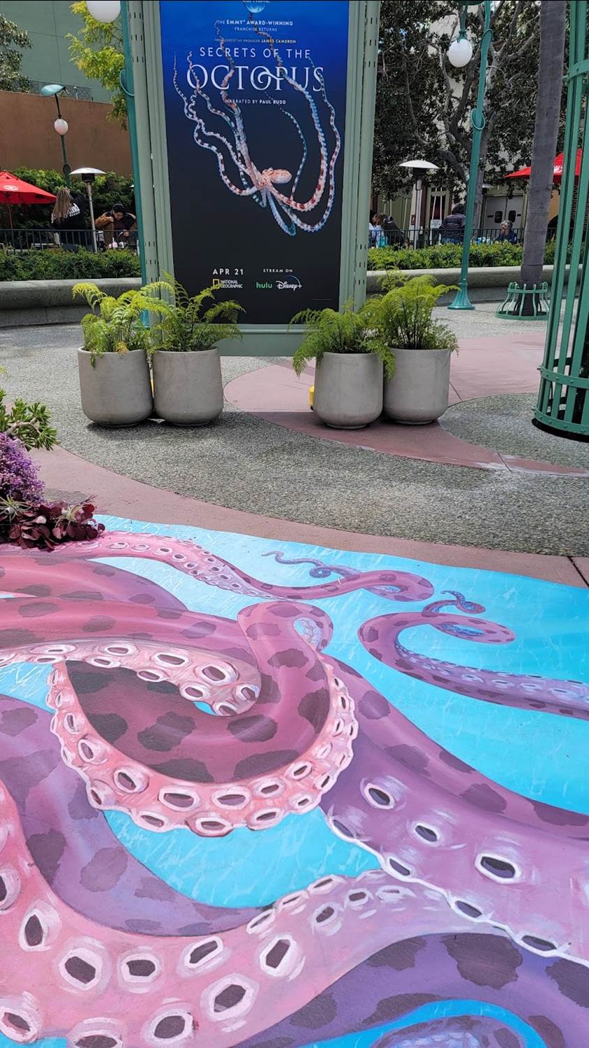 Photos: Creative “Secrets of the Octopus” Display Installed in Downtown ...