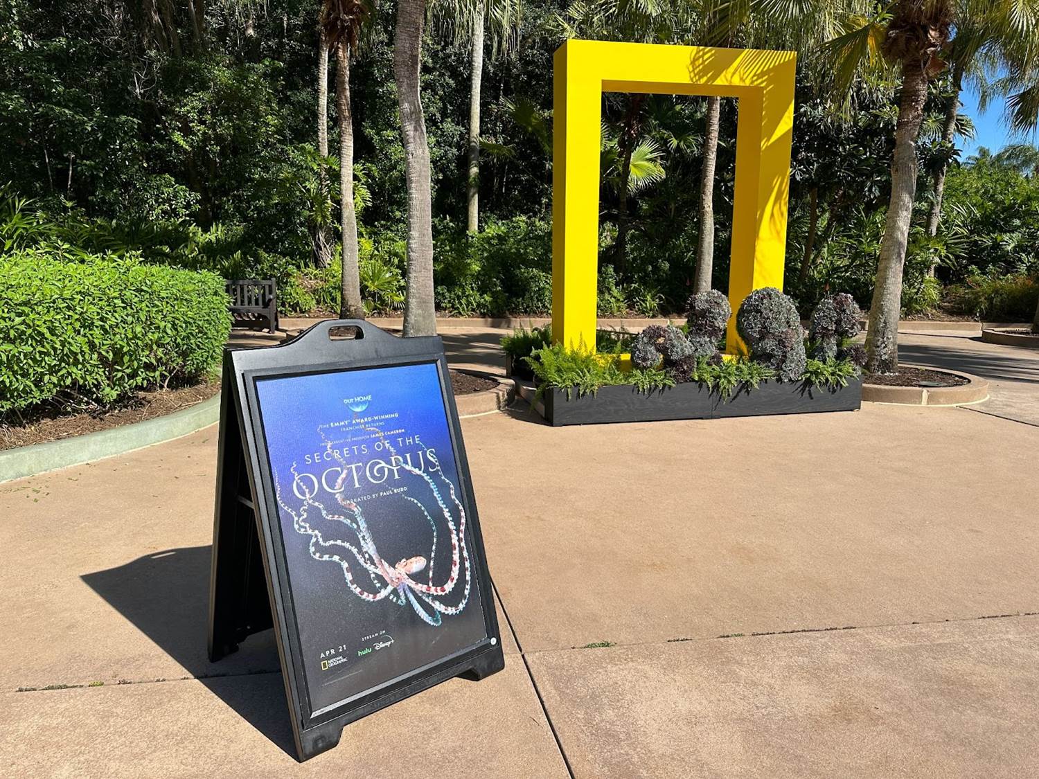 Photos: Nat Geo "Secrets of the Octopus" Photo Op Outside Disney's ...
