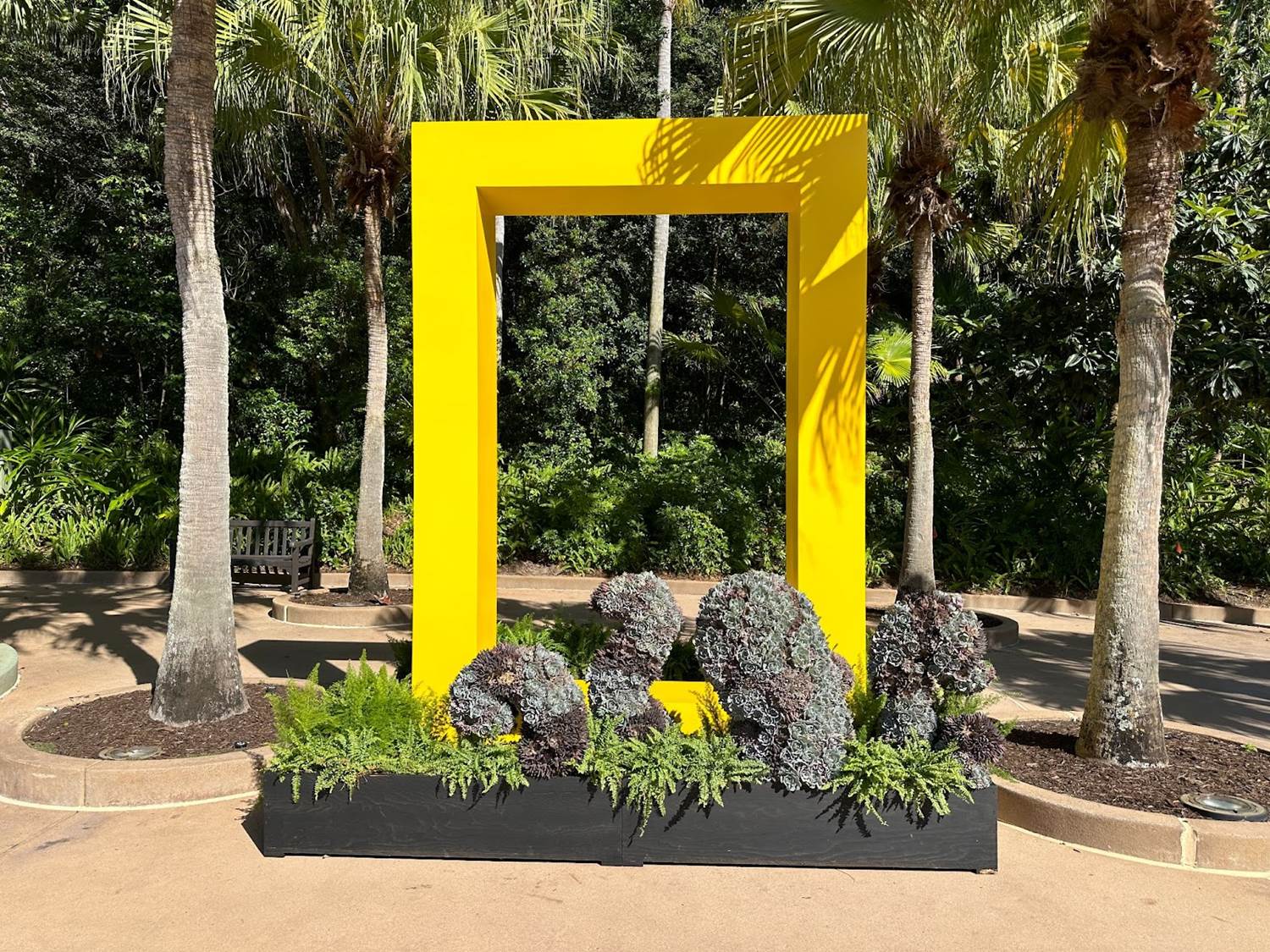 Photos: Nat Geo "Secrets of the Octopus" Photo Op Outside Disney's ...