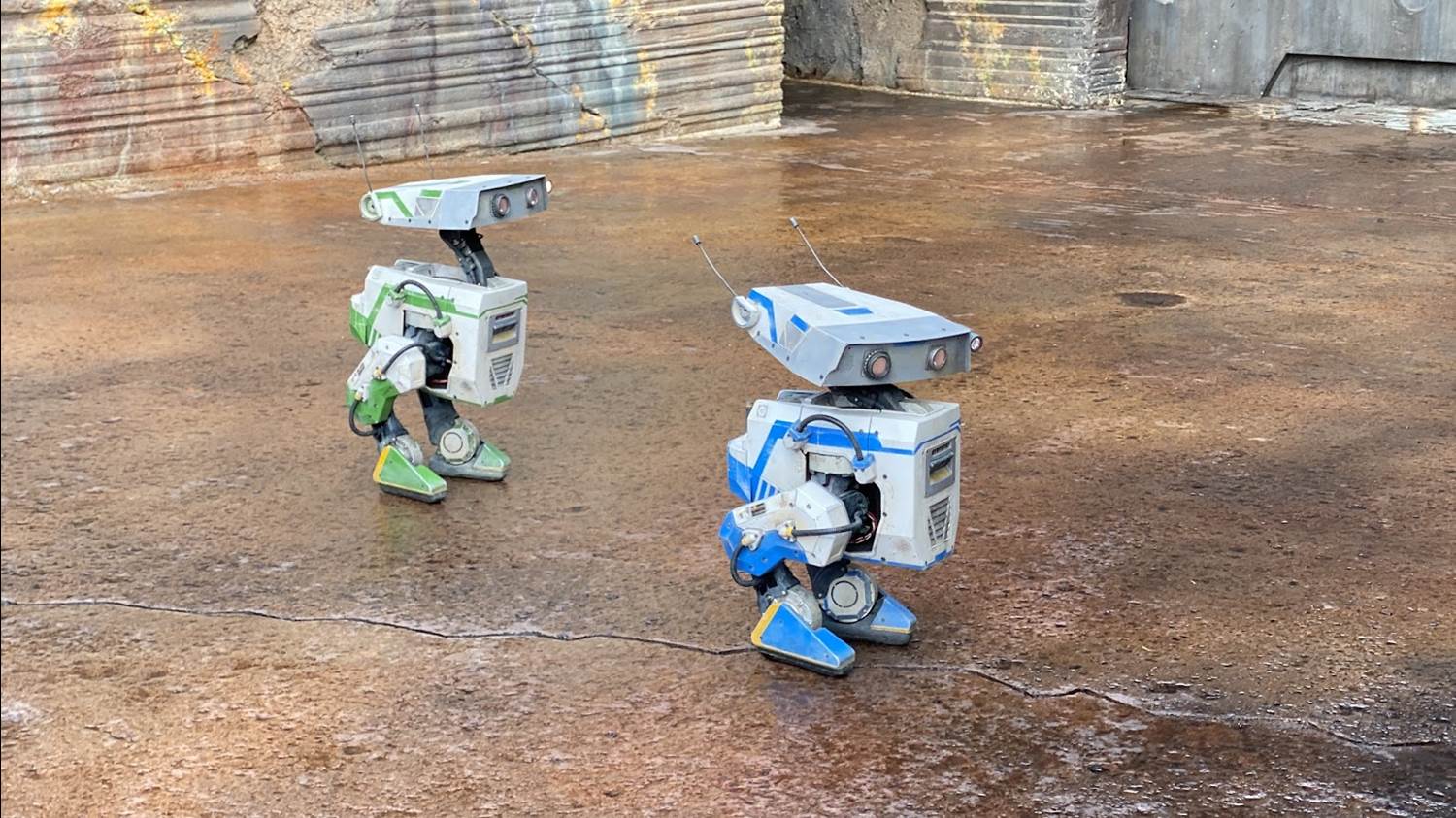 Photos / Video: BDX Droids Appear for First Time During Disneyland's ...