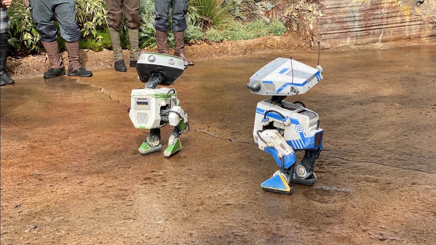 Photos / Video: BDX Droids Appear for First Time During Disneyland's Season of the Force ...