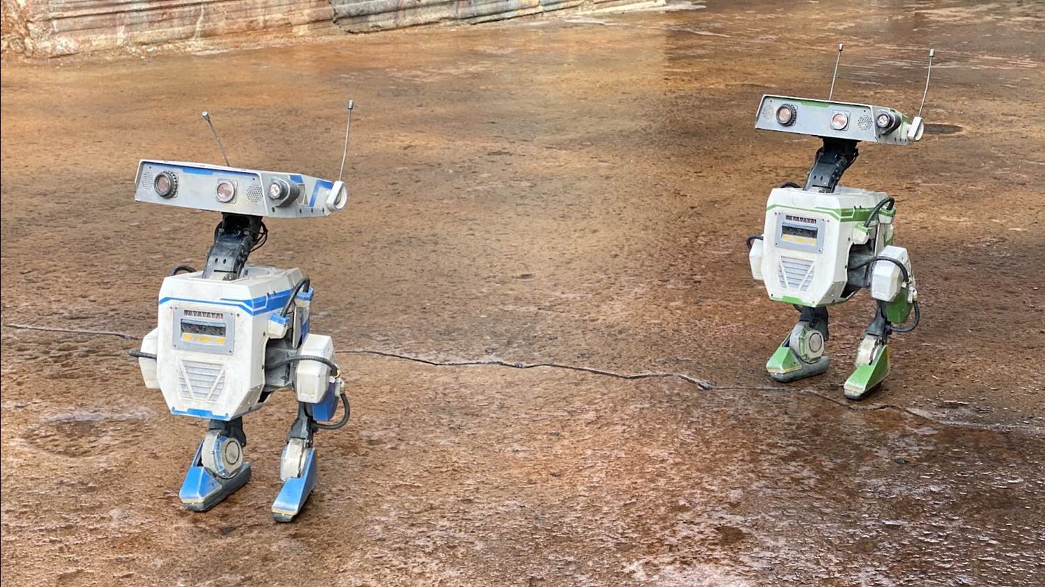 Photos / Video: BDX Droids Appear for First Time During Disneyland's ...