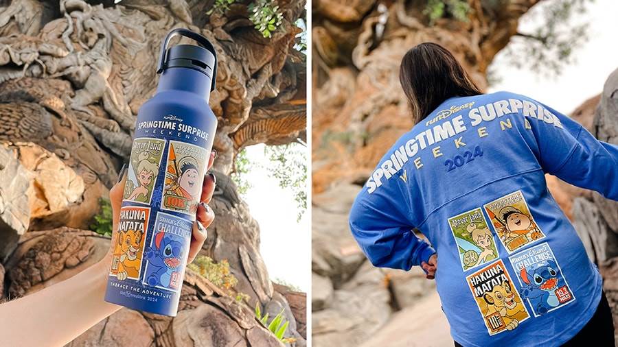 runDisney Springtime Surprise Weekend Merchandise Revealed ...