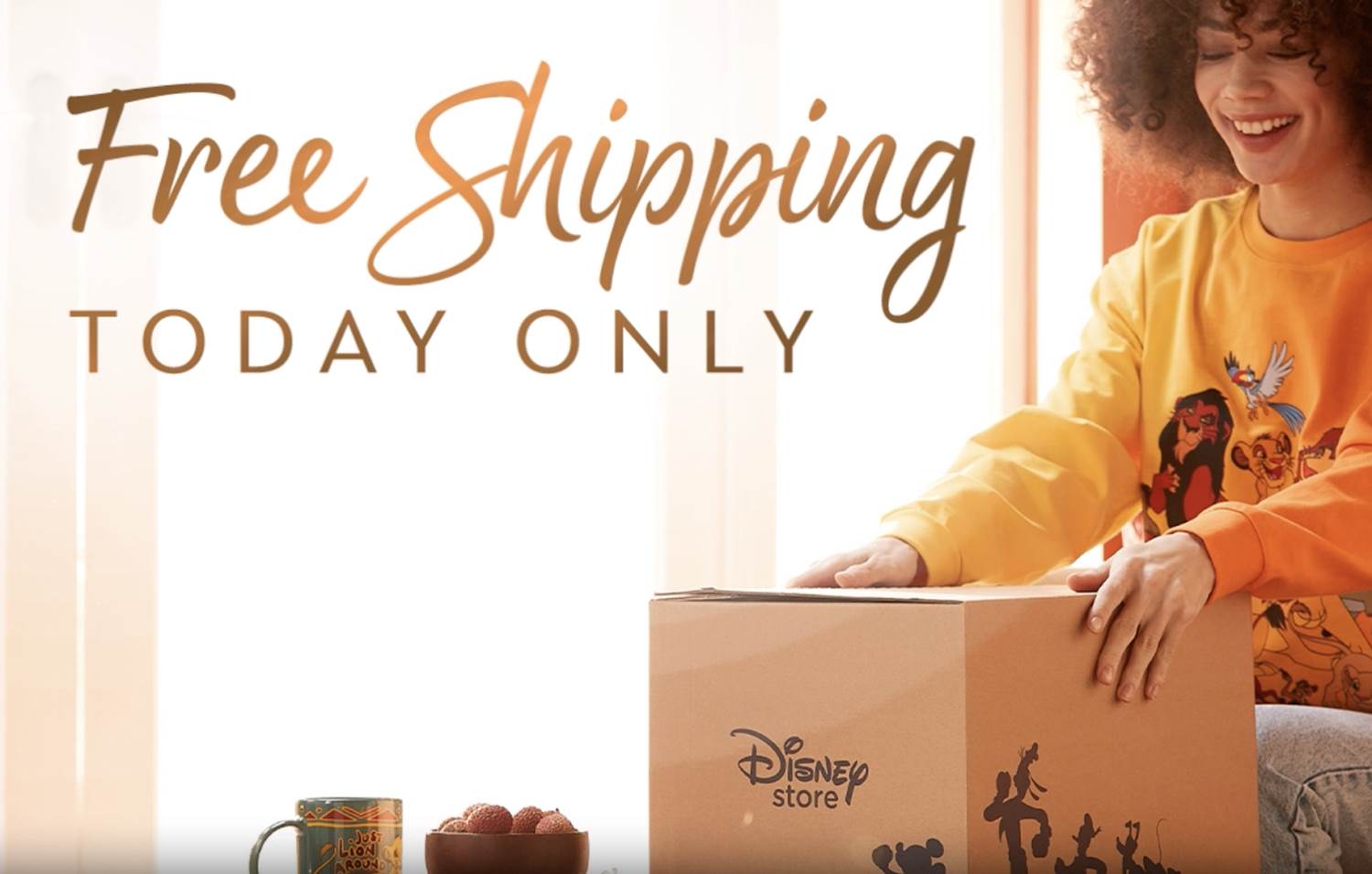 Free Shipping on Any Size Order at Disney Store