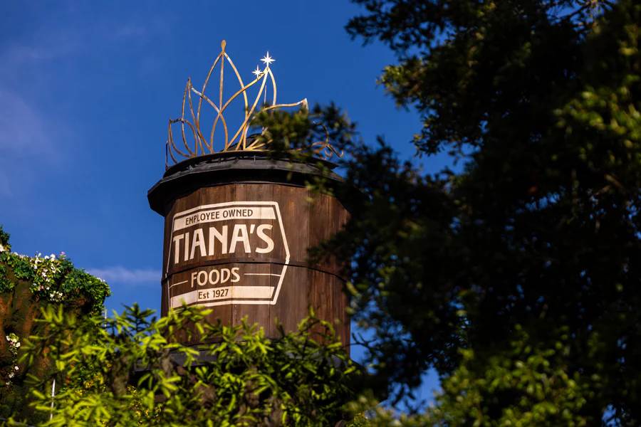 How Walt Disney Imagineering and Icarus Exhibits Brought Tiana’s Foods ...