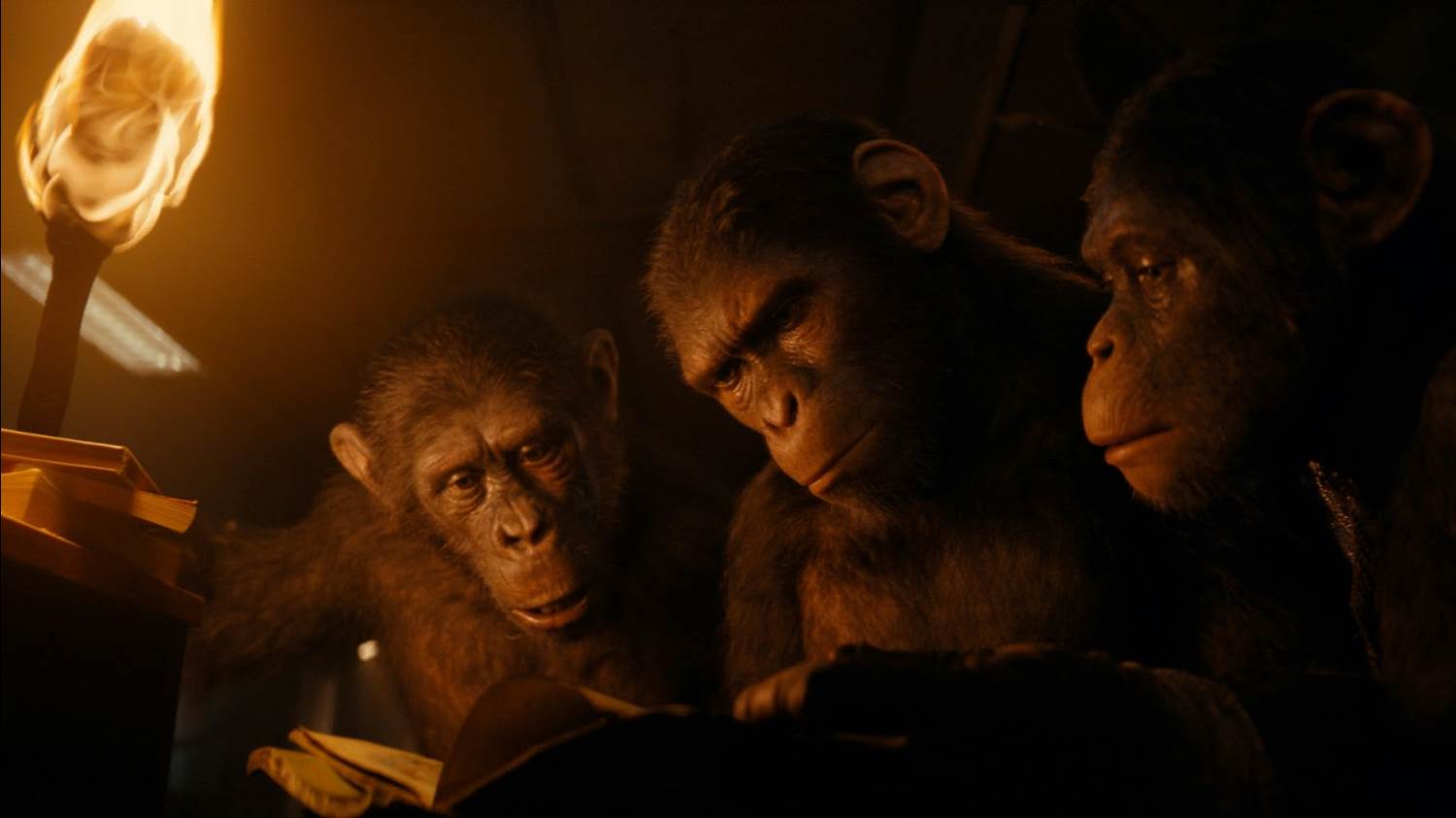 Monkey Musings: “Kingdom of the Planet of the Apes” - LaughingPlace.com