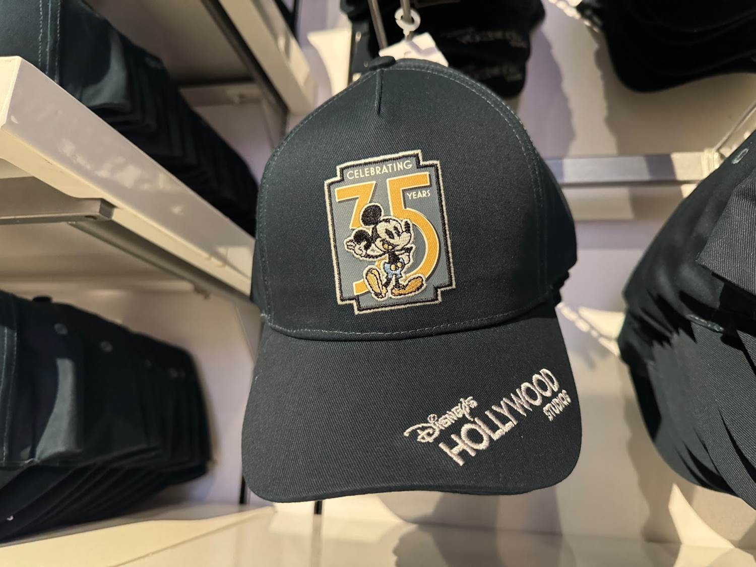 Photos: Disney’s Hollywood Studios Celebrates 35 Years with ...