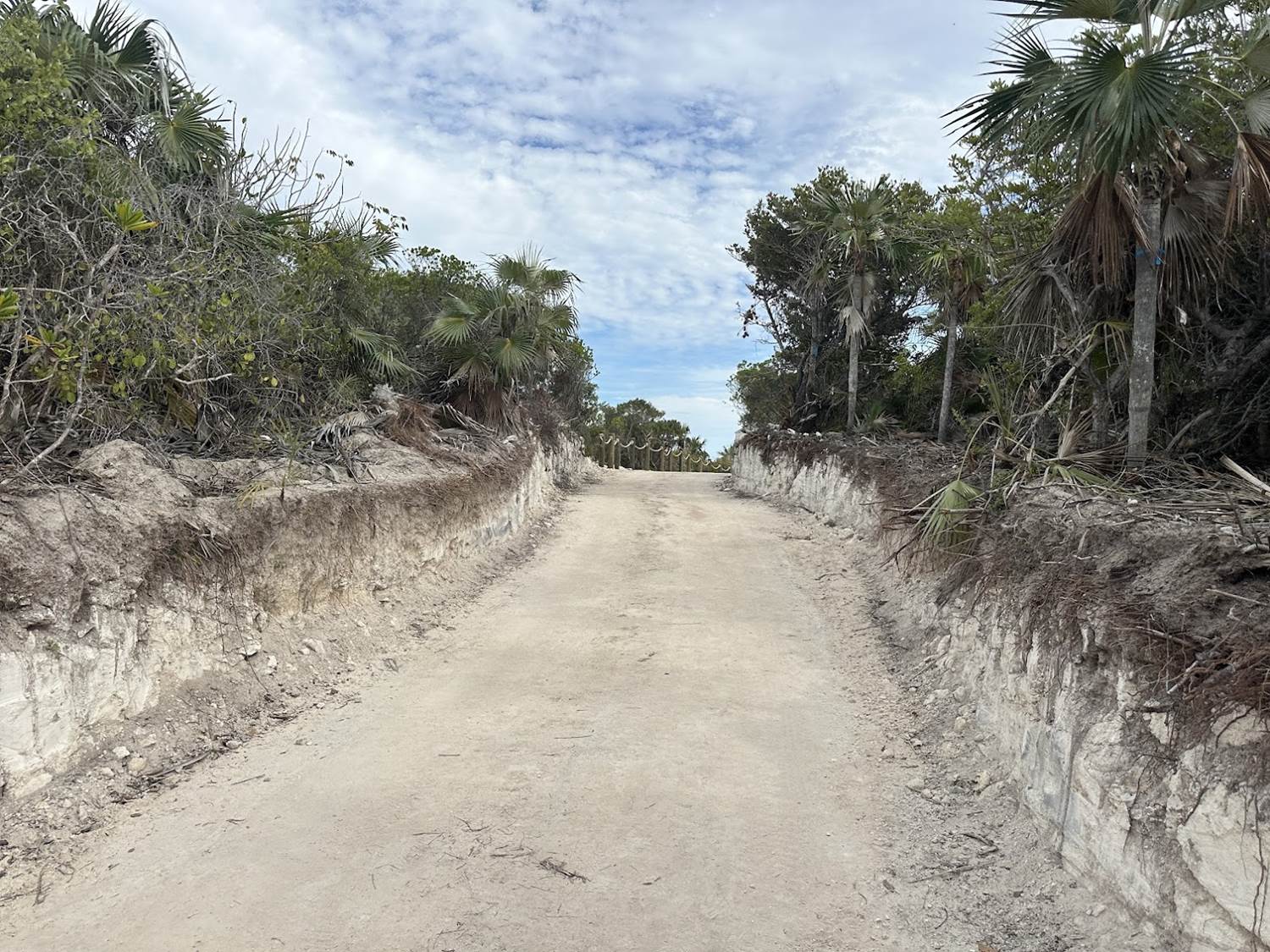 Photos: Disney Lookout Cay at Lighthouse Point Nature & Discovery Trail ...