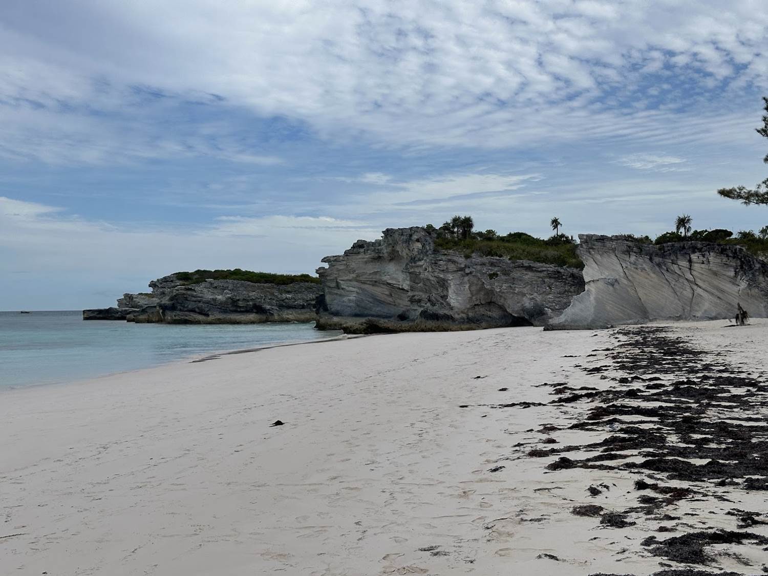 Photos: Disney Lookout Cay at Lighthouse Point Nature & Discovery Trail ...