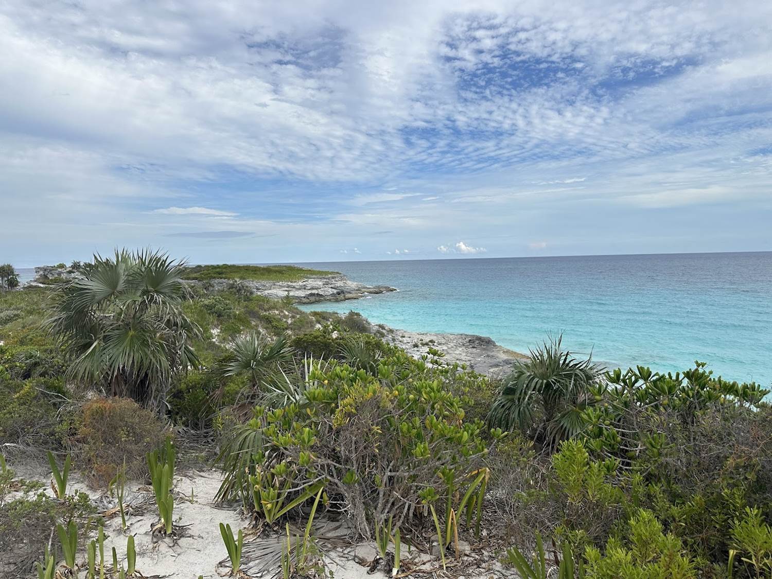 Photos: Disney Lookout Cay at Lighthouse Point Nature & Discovery Trail ...