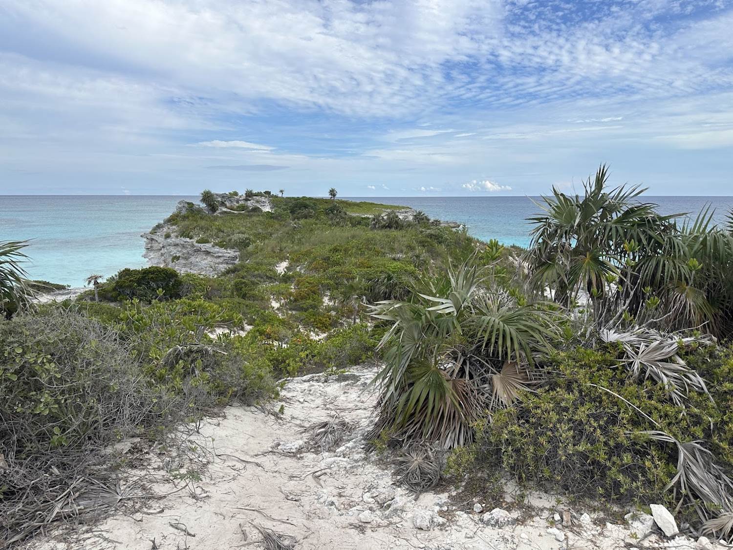 Photos: Disney Lookout Cay at Lighthouse Point Nature & Discovery Trail ...