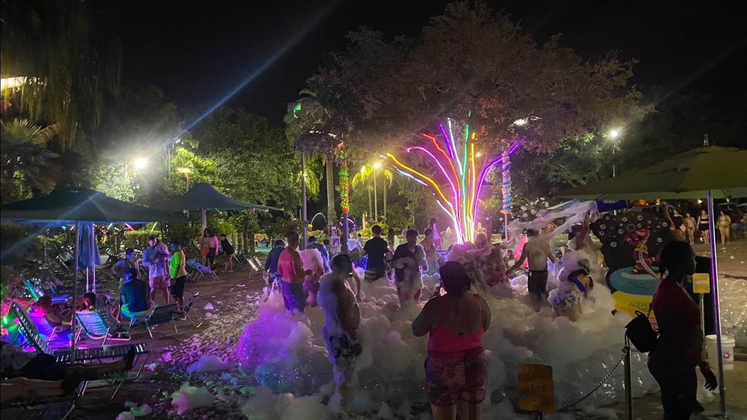 Photos/Video: AquaGlow Lights Up The Night At Aquatica Orlando ...