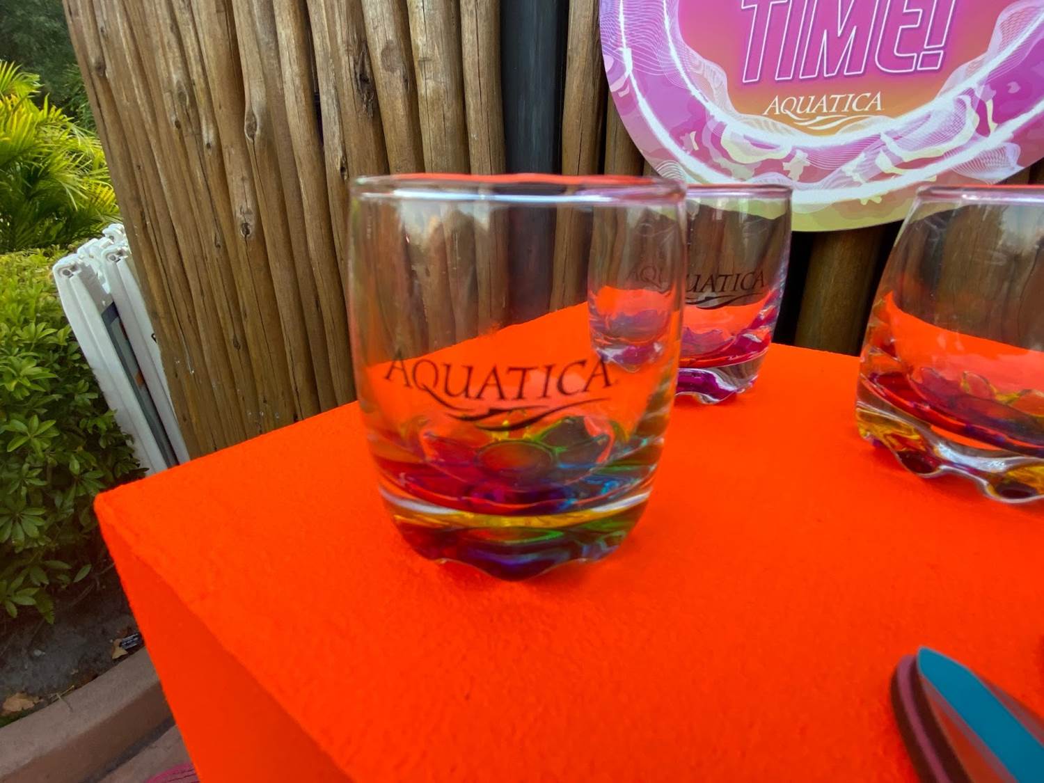 Photos/Video: AquaGlow Lights Up The Night At Aquatica Orlando ...