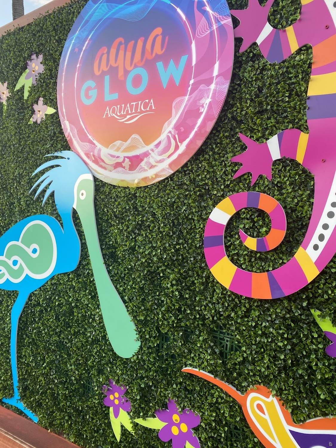 Photos/Video: AquaGlow Lights Up The Night At Aquatica Orlando ...