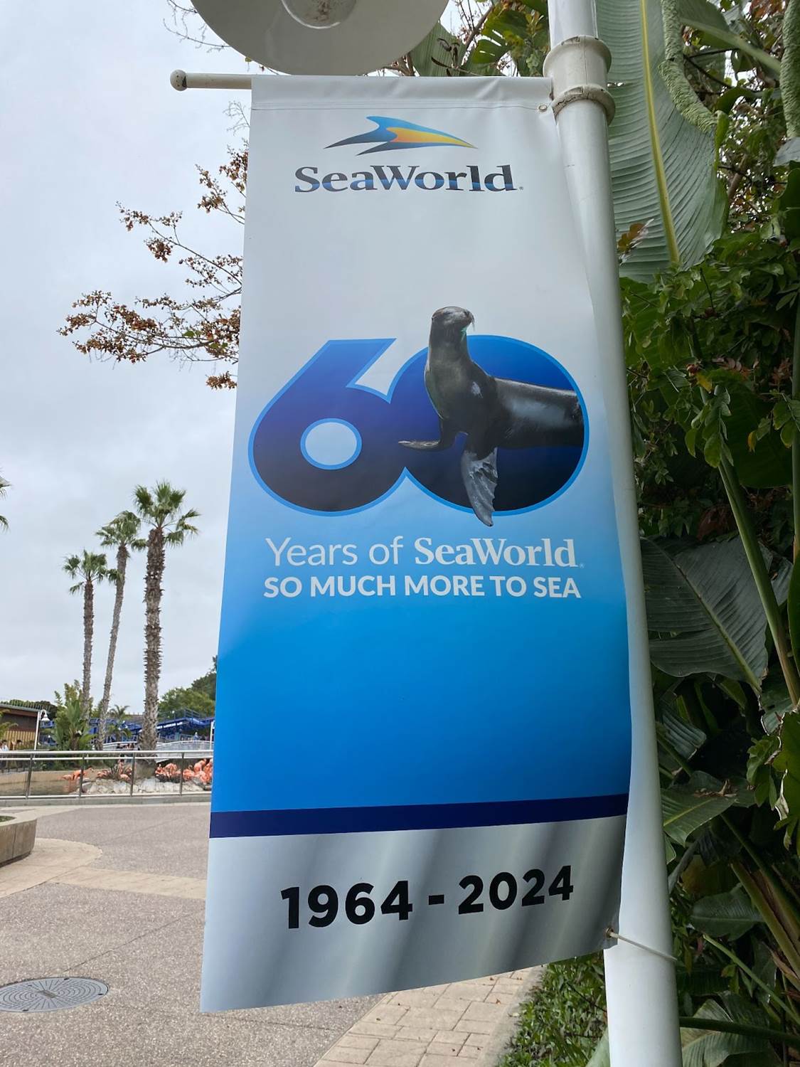 Video / Photos: SeaWorld San Diego Hosts Summer Spectacular for 2024 ...