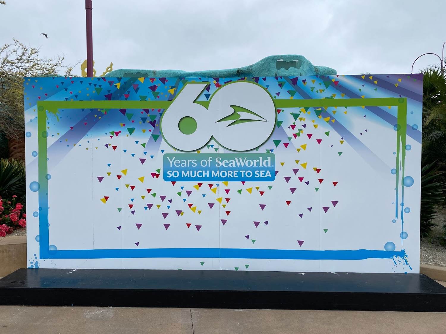 Video / Photos: SeaWorld San Diego Hosts Summer Spectacular for 2024 ...