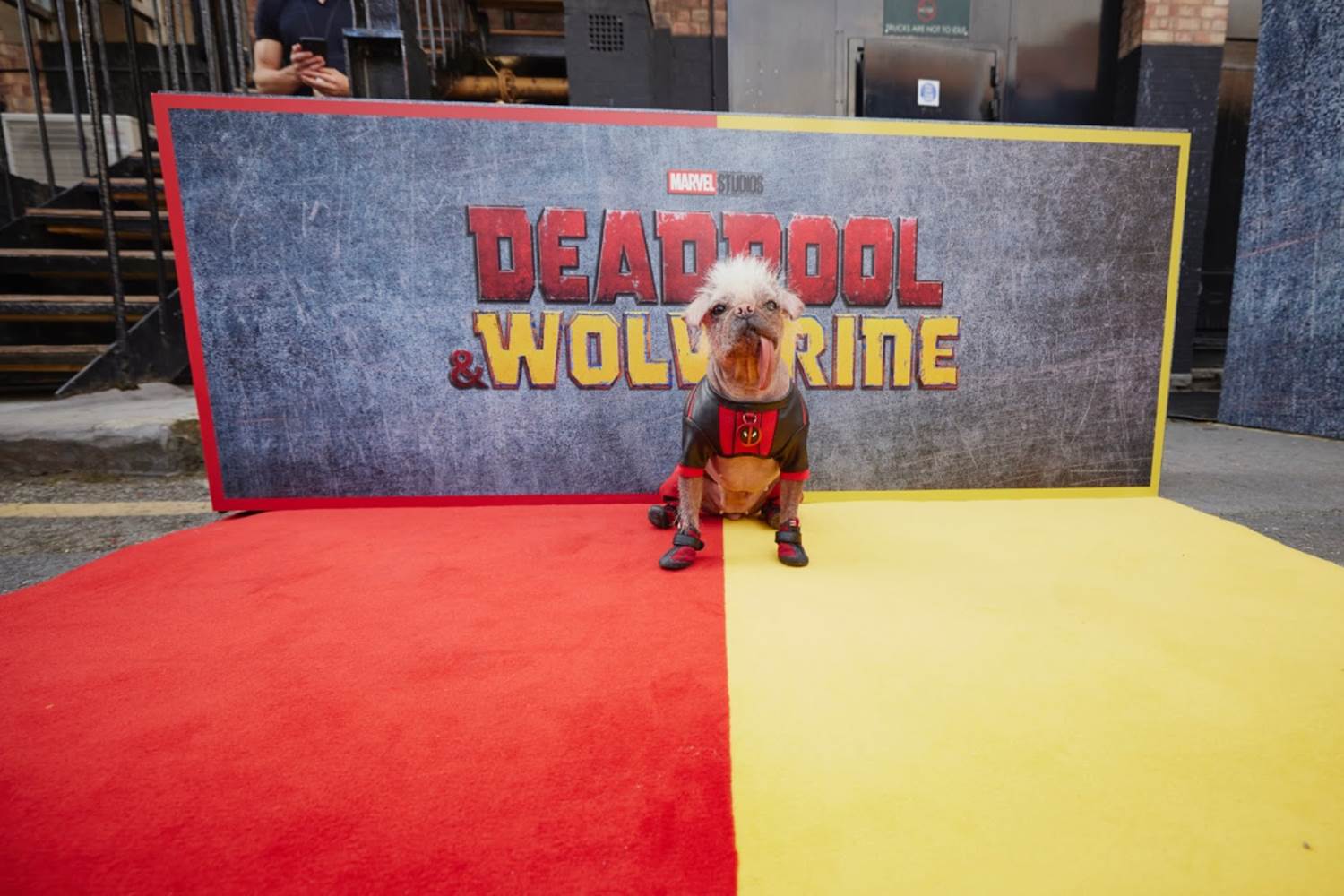 “Deadpool & Wolverine” World Tour Continues With London Fan Event ...