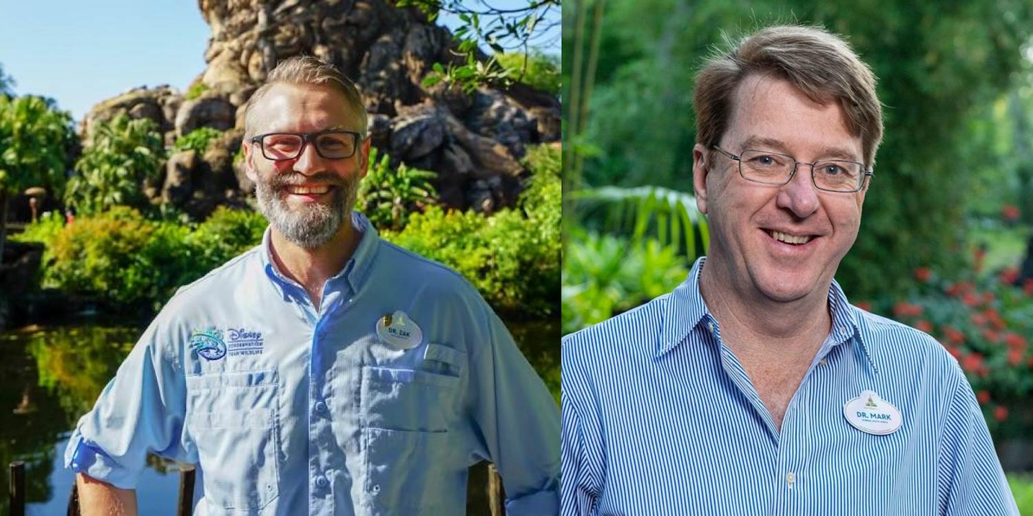 Interview: Dr. Zak Gezon and Dr. Mark Penning on Disney's Vero Beach ...