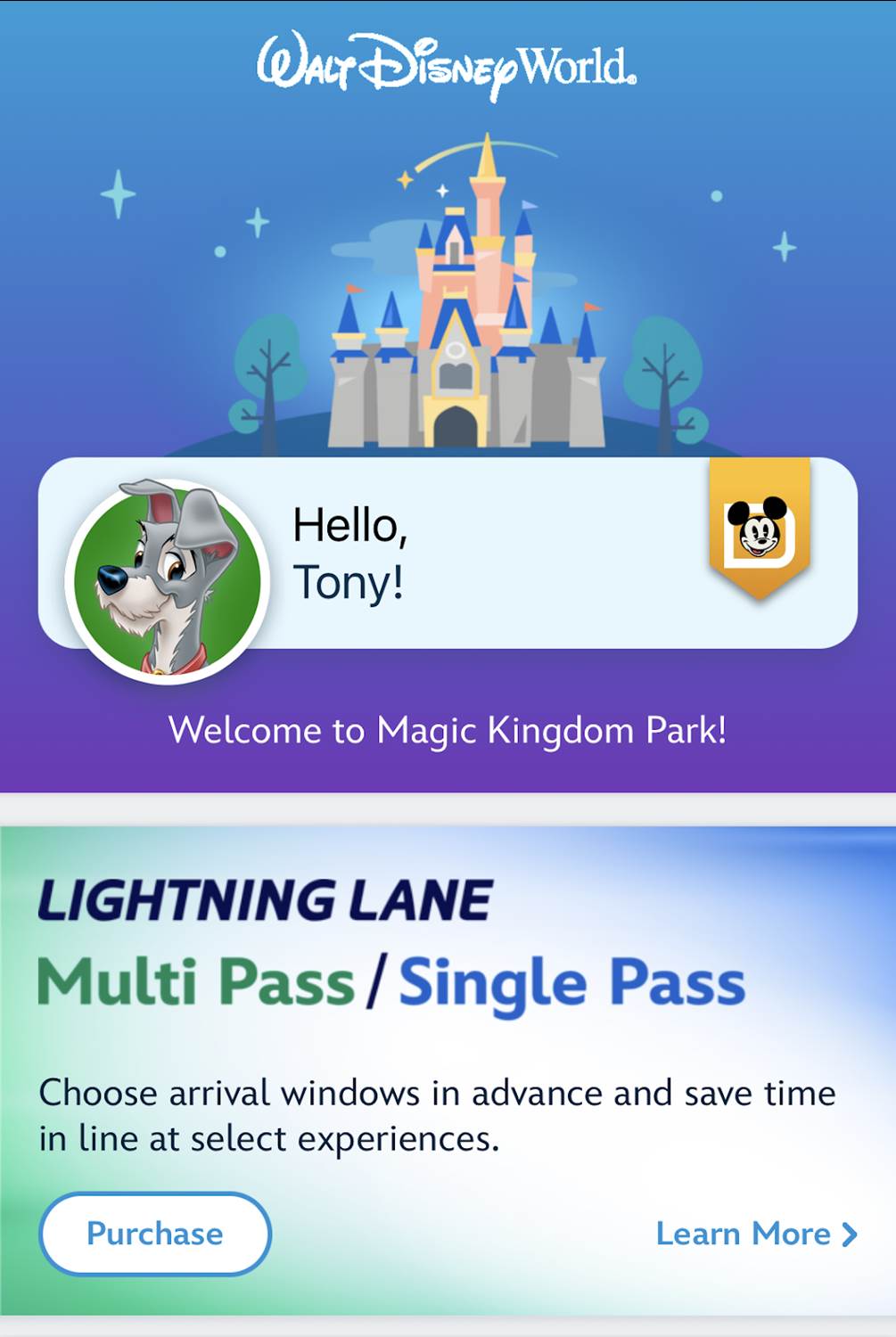 Lightning Lane Multi Pass and Single Pass Officially Debut at the Walt ...