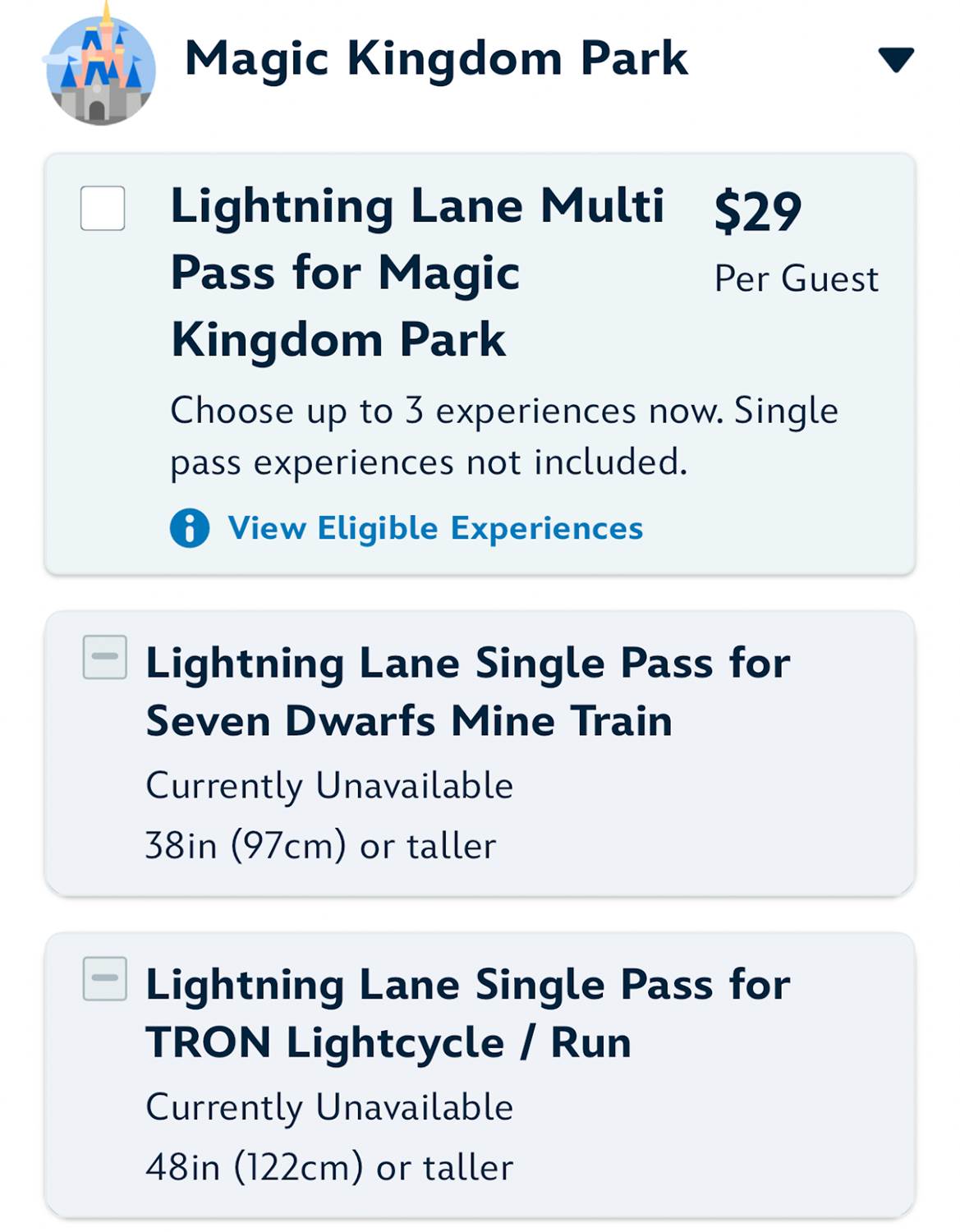 Lightning Lane Multi Pass and Single Pass Officially Debut at the Walt ...
