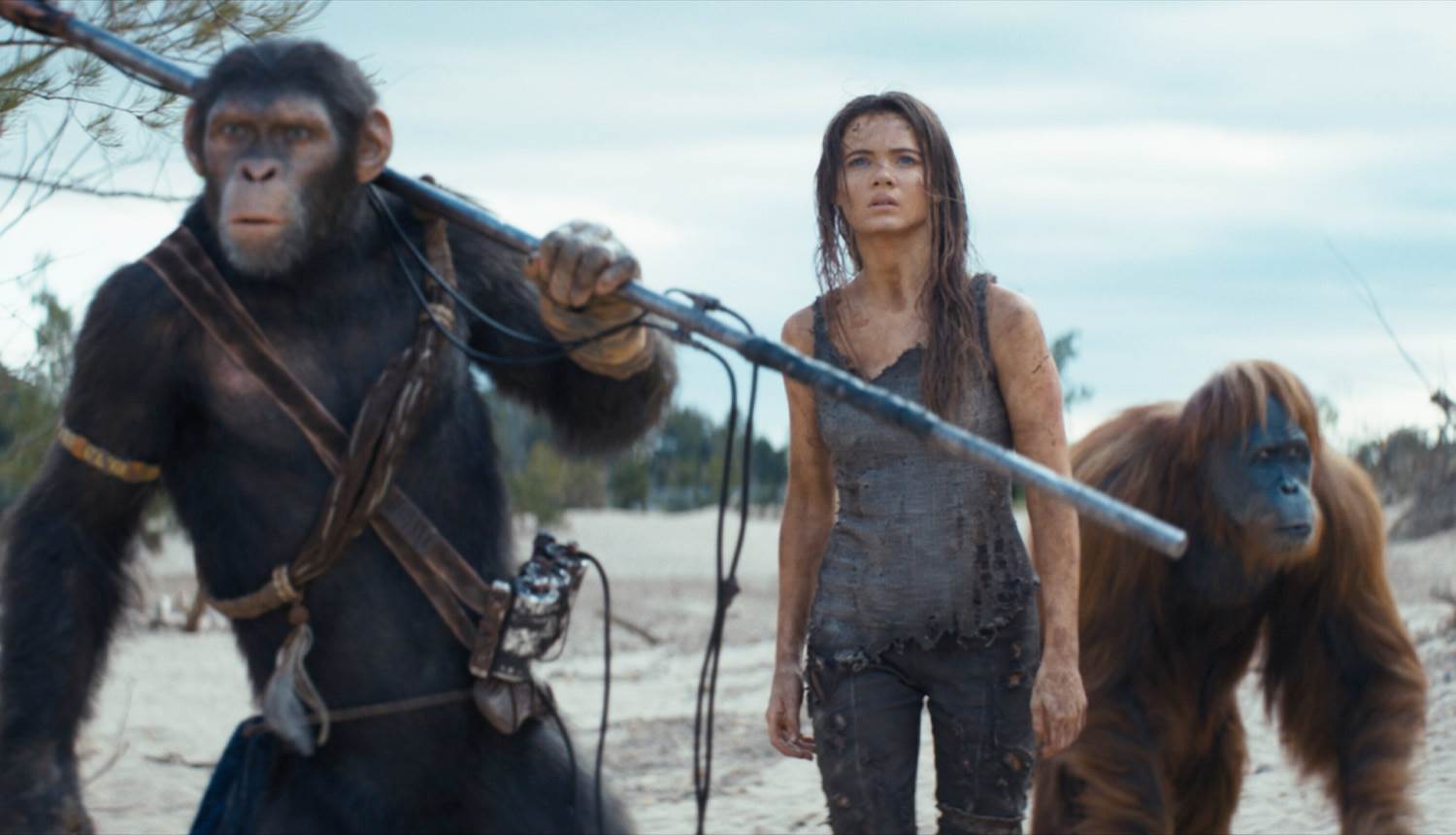 “Kingdom of the Planet of the Apes” Announces Hulu Debut Date ...