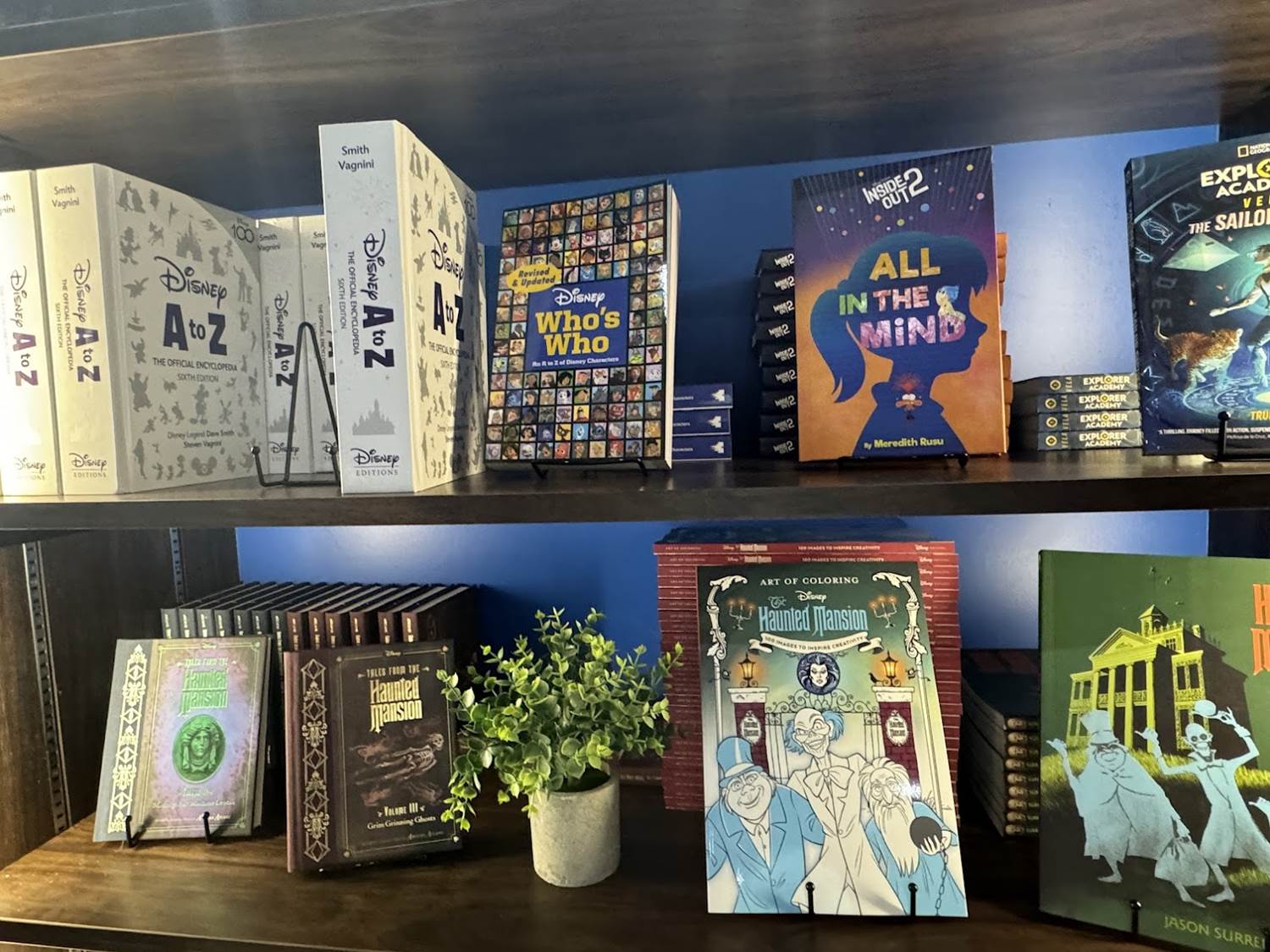 Photos: Disney Publishing Opens A Pop-Up Bookshop At SDCC 2024 ...