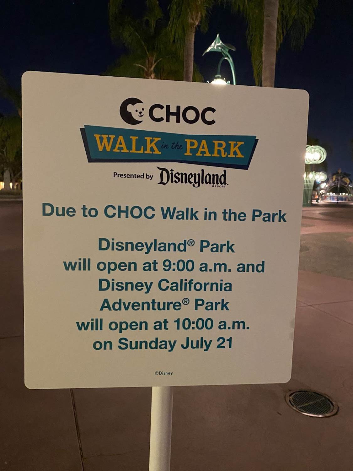 Photos / Video: CHOC Walk 2024 Brings Thousands of Participants to ...