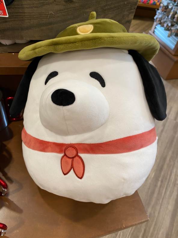 Photos & Videos: Knott's Berry Farm's Reimagined Camp Snoopy ...