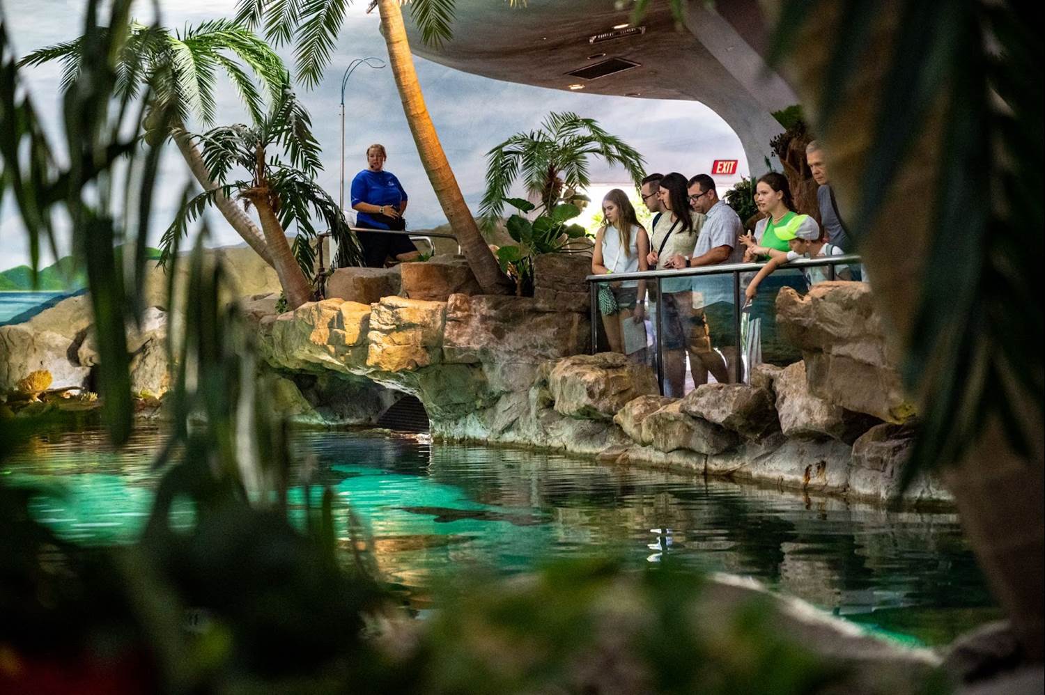 SeaWorld’s Ultimate Shark Experience Ticket is Back - LaughingPlace.com