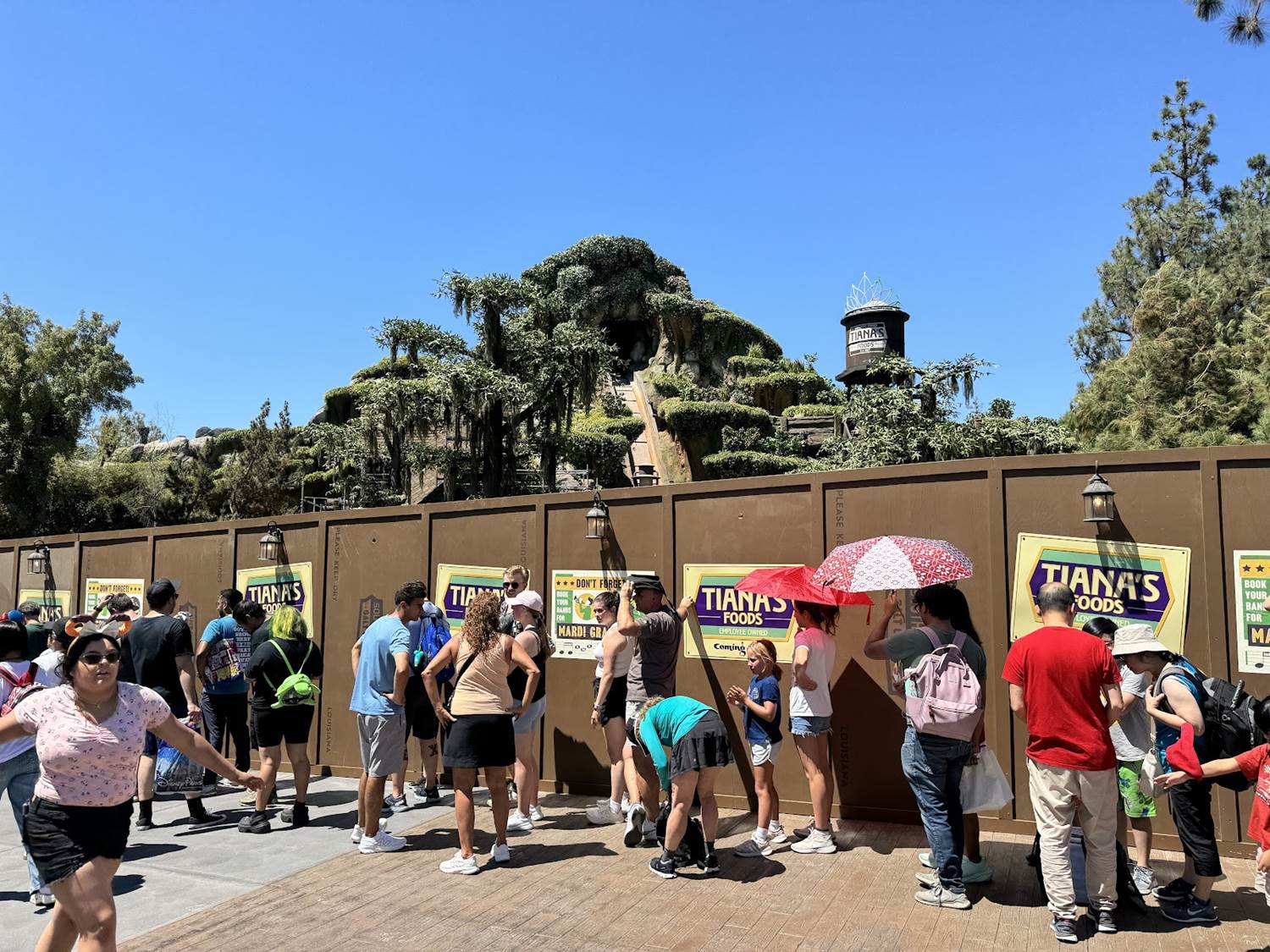 Photos: Critter Country Connecting Walkway Reopens At Disneyland Park ...