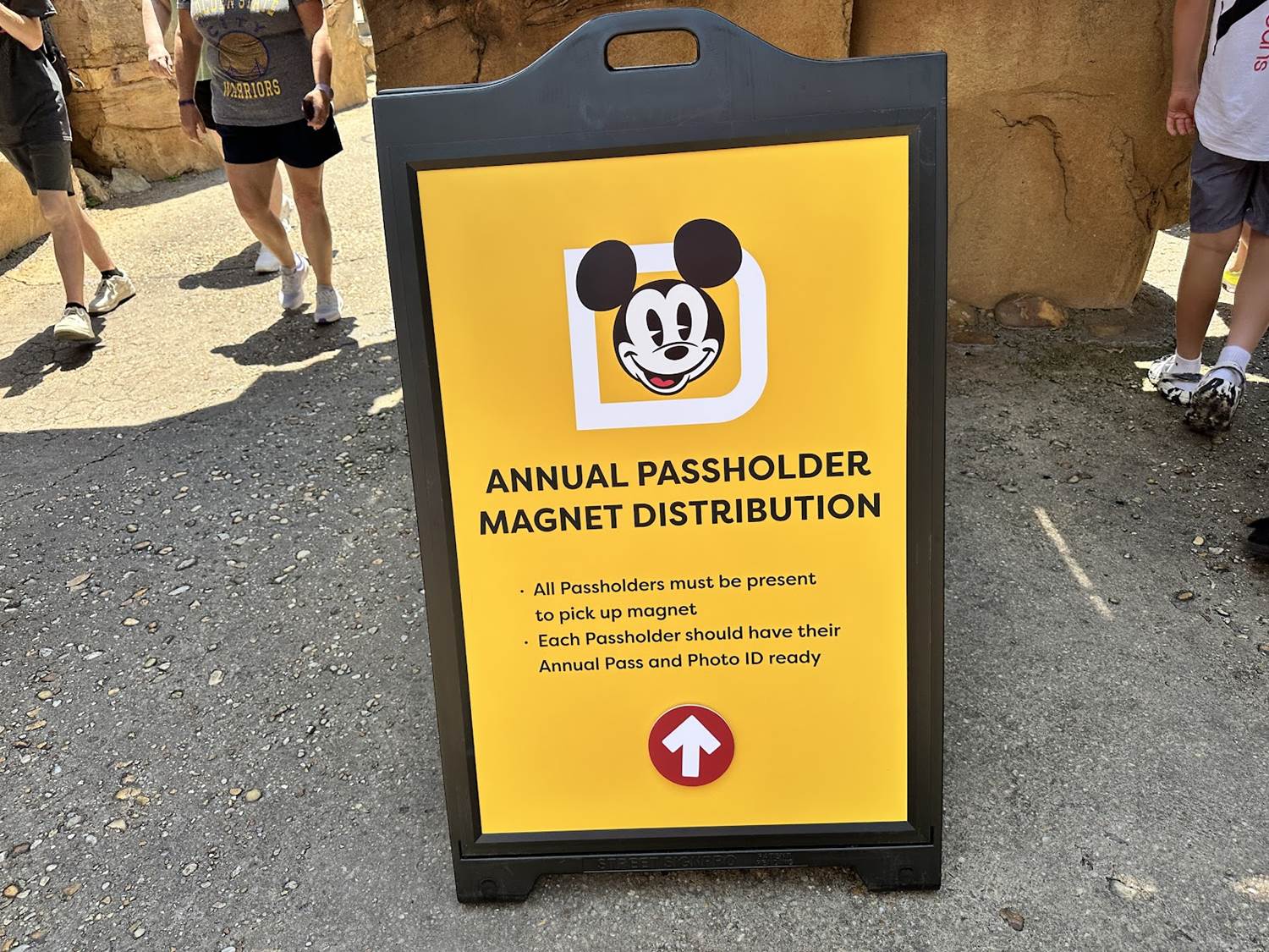 Photos: Timon And Pumbaa Arrive on Passholder Exclusive Magnet at Walt ...
