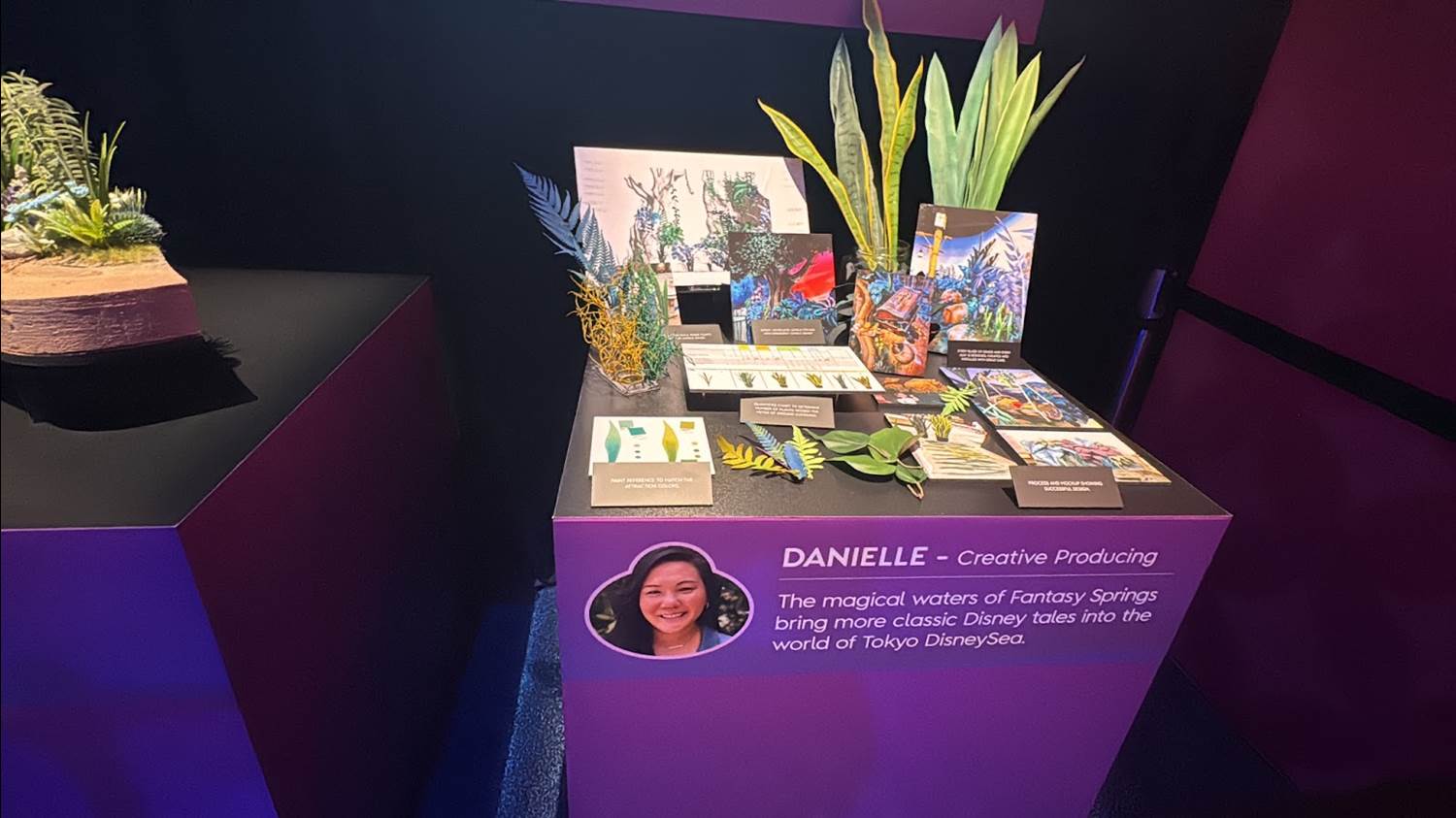 Photos / Video – Go Behind the Dreams of Imagineering at Their ...