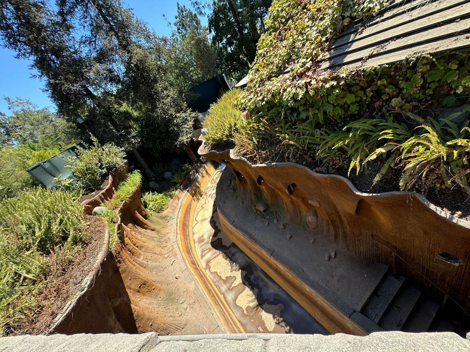 Video: Path Reopens from New Orleans Square Through Critter / Bayou ...