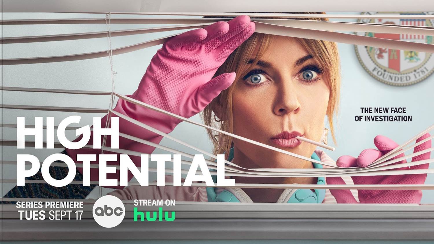 TV Review: ABC Gives Mystery Fans a New, Quirky Female Detective with ...