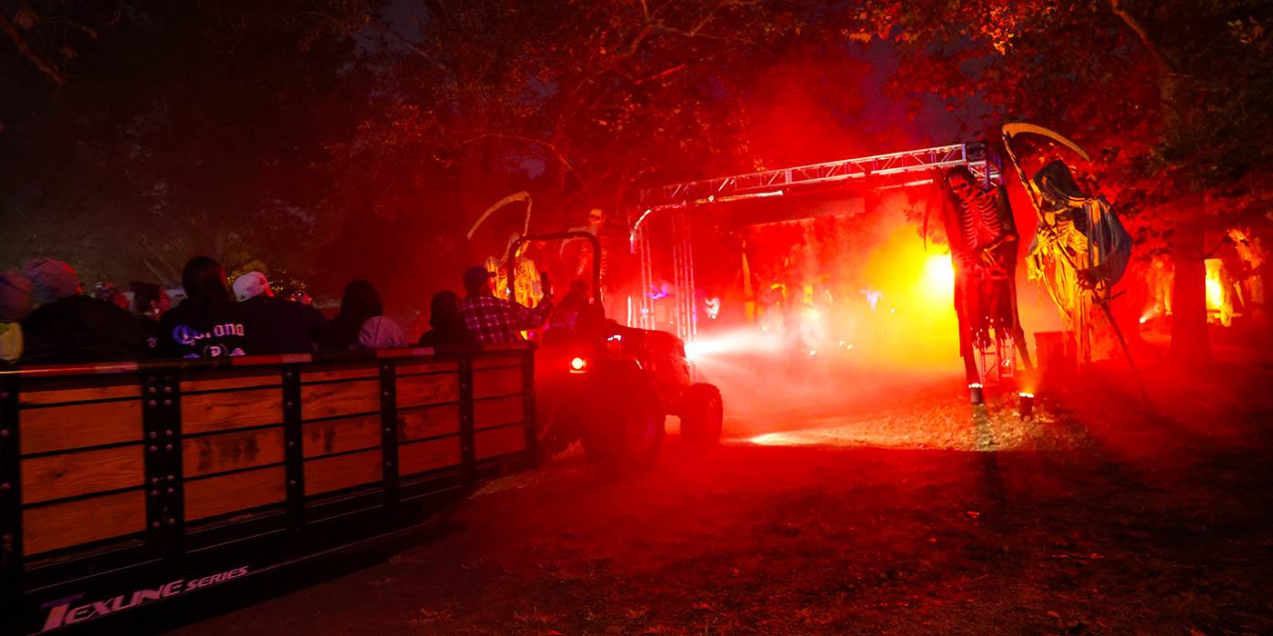 An "Alien: Romulus" Pop-Up Xenomorph Photo Op Is Now Available at Los ...