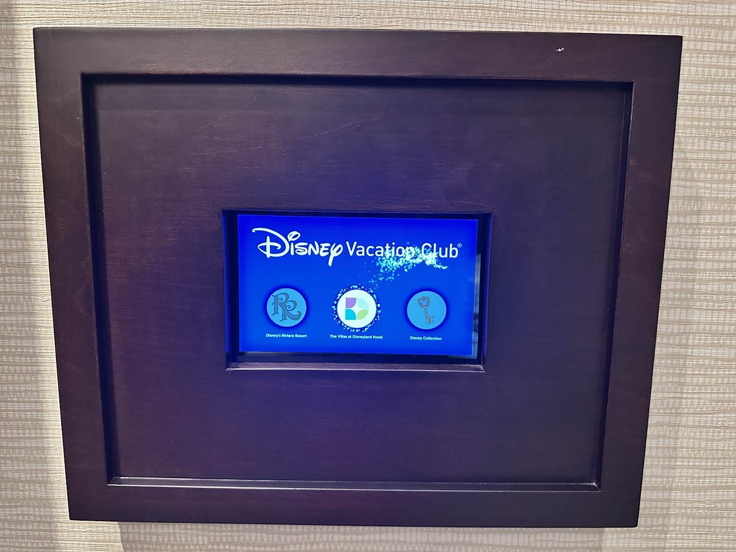 Photos: Disney Vacation Club Preview Space Appears at Disney's ...