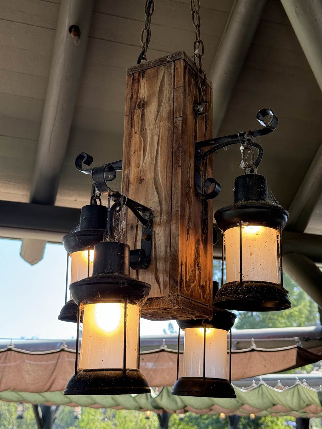 Photos: The Big Bear Band Is Servin' Now At Disneyland's New Hungry ...