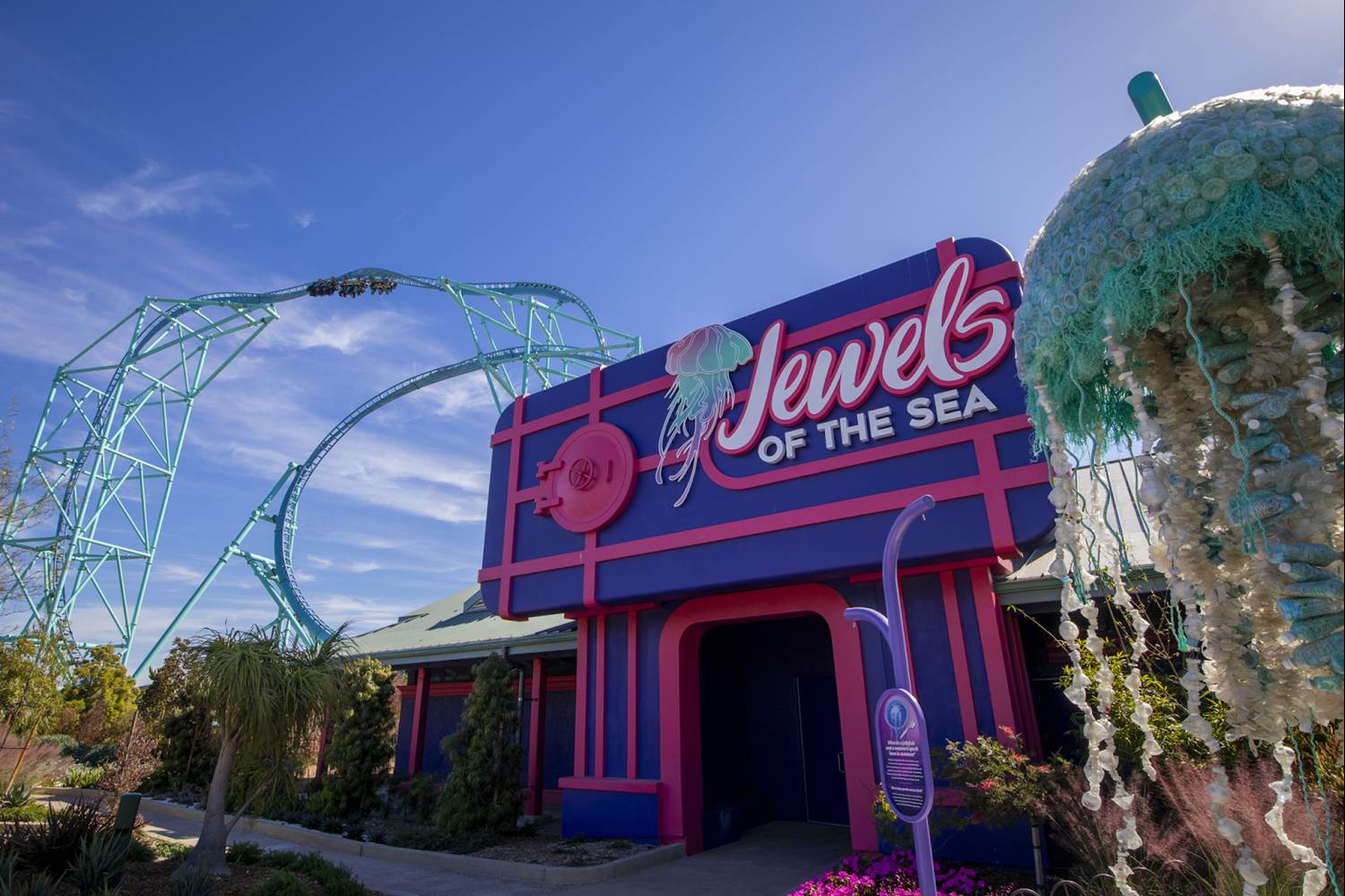Disney News | Jewels of the Sea: A Jellyfish Experience - LaughingPlace.com