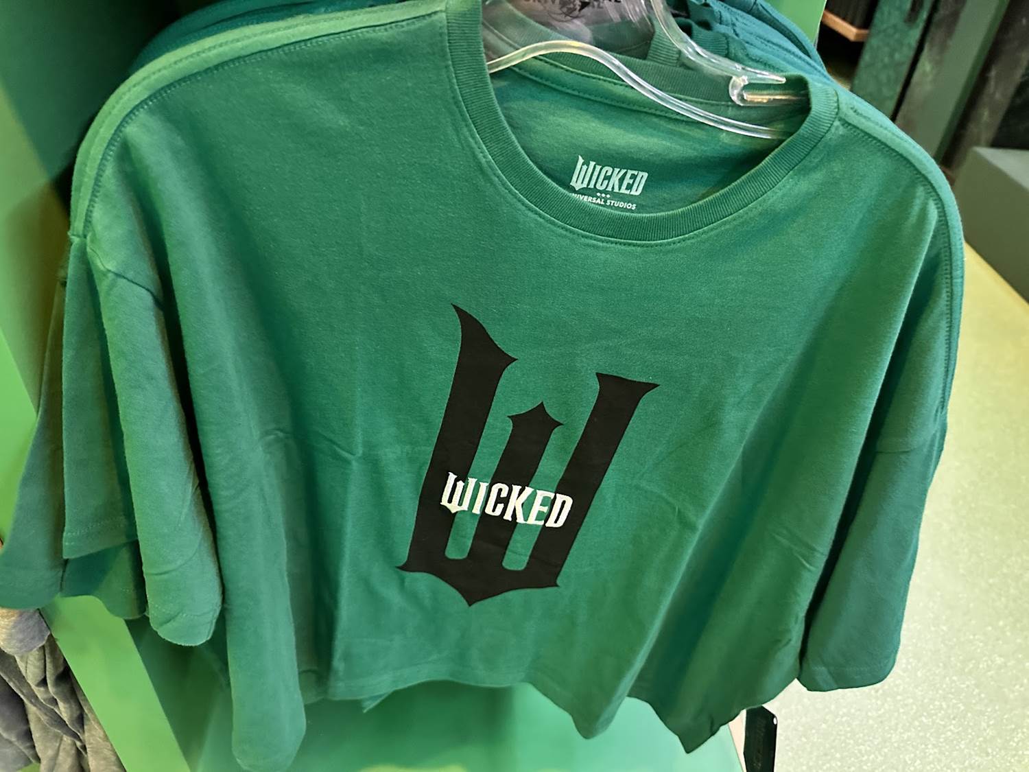 Photos/Video: Get a Sneak Peek of the New "Wicked: The Experience ...