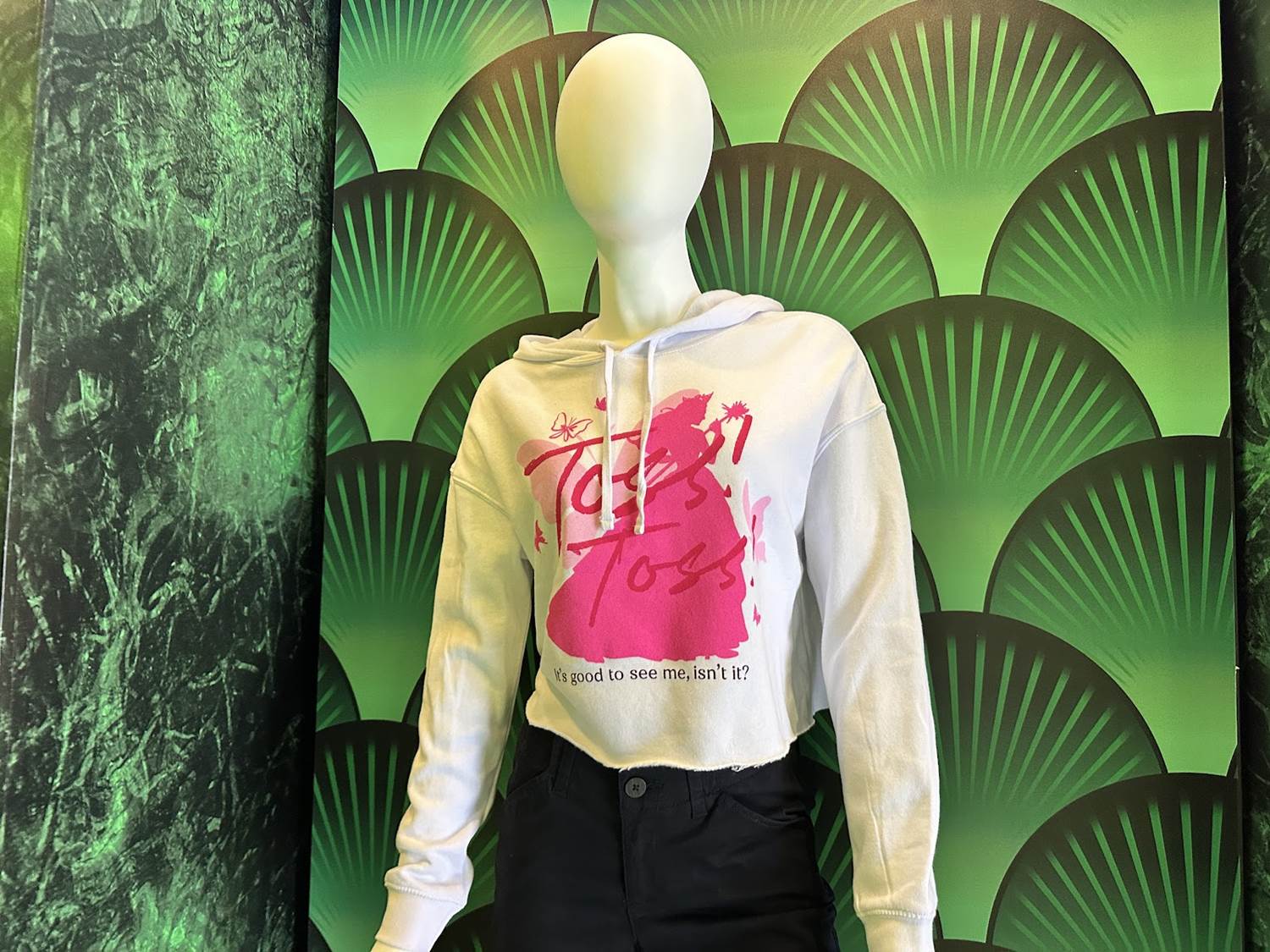 Photos/Video: Get a Sneak Peek of the New "Wicked: The Experience ...