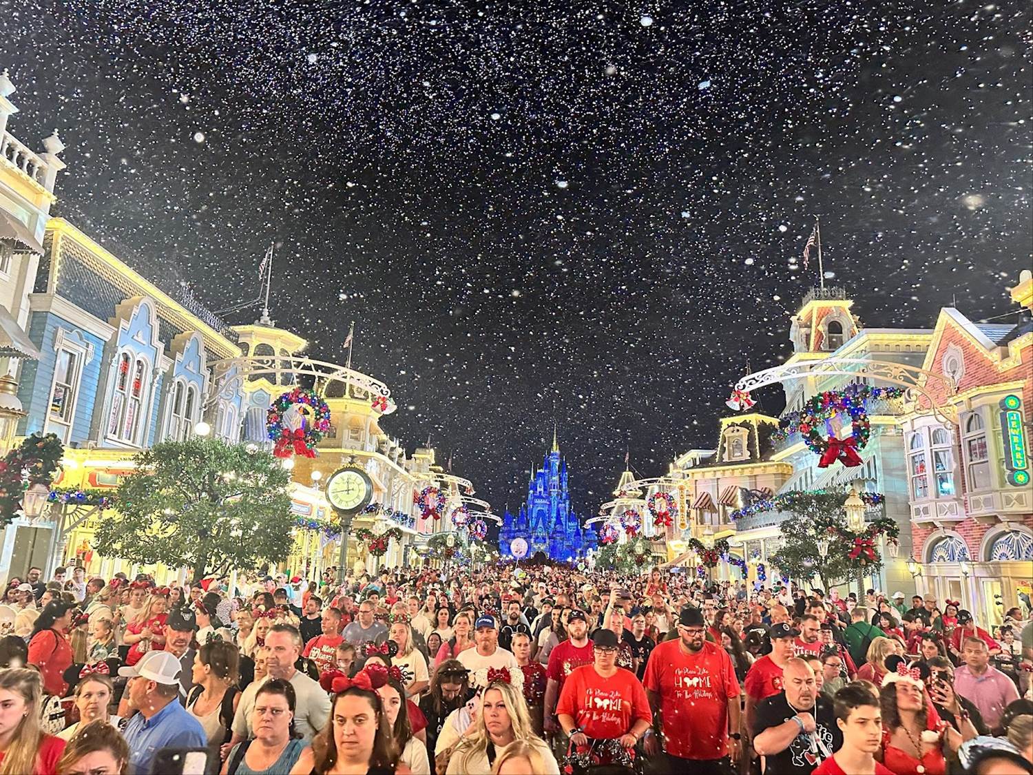Photos/Videos: Check Out the Holiday Cheer of Mickey's Very Merry ...