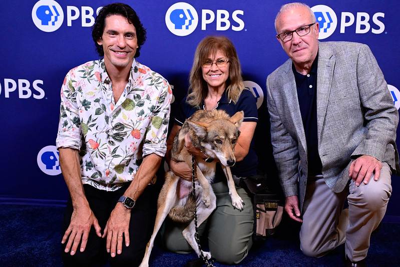 San Diego’s Untamed Side Comes to Life in New PBS Nature Special ...