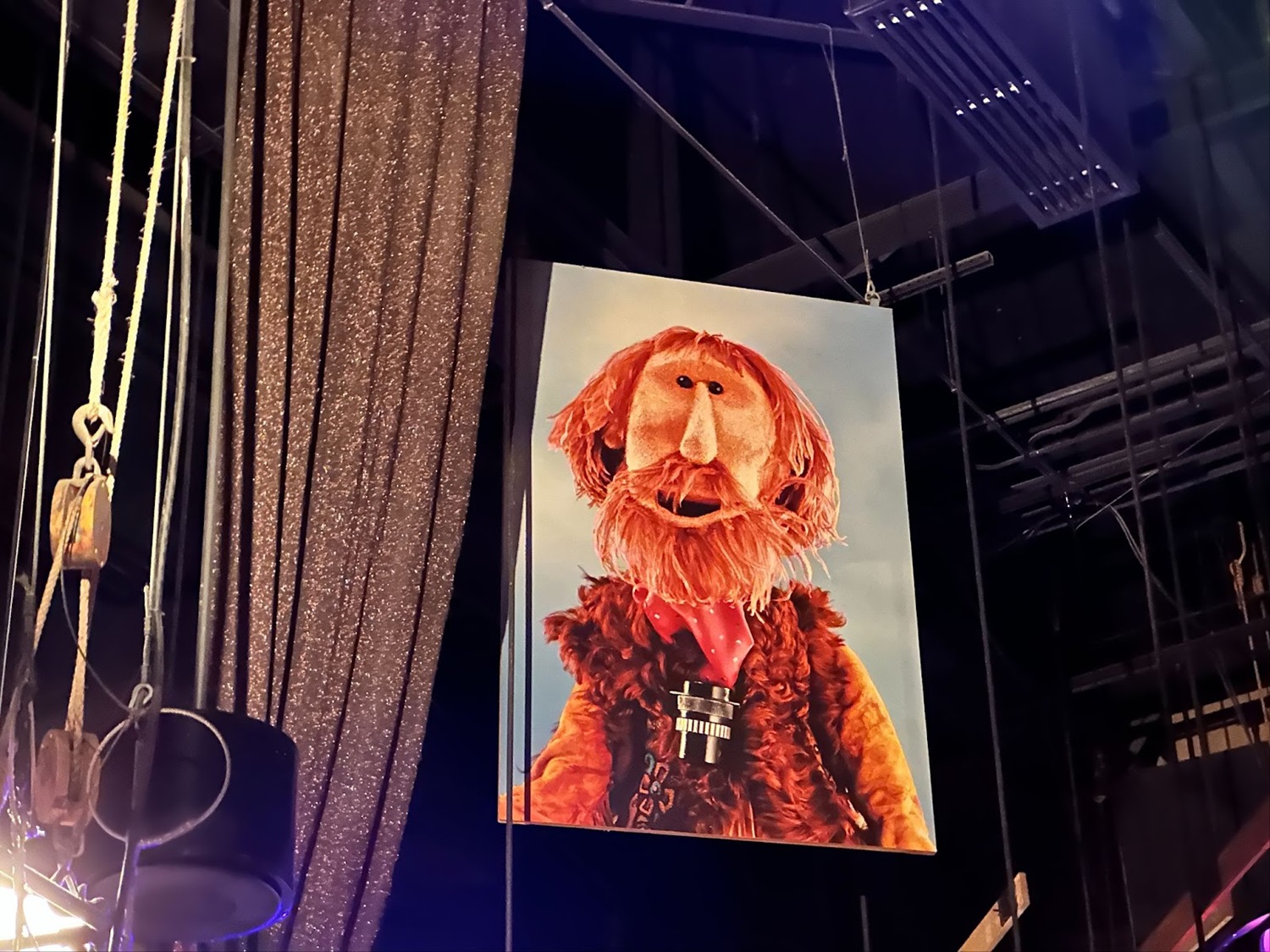 Photos: An Upclose Look at Muppet*Vision 3D and Muppet Courtyard ...