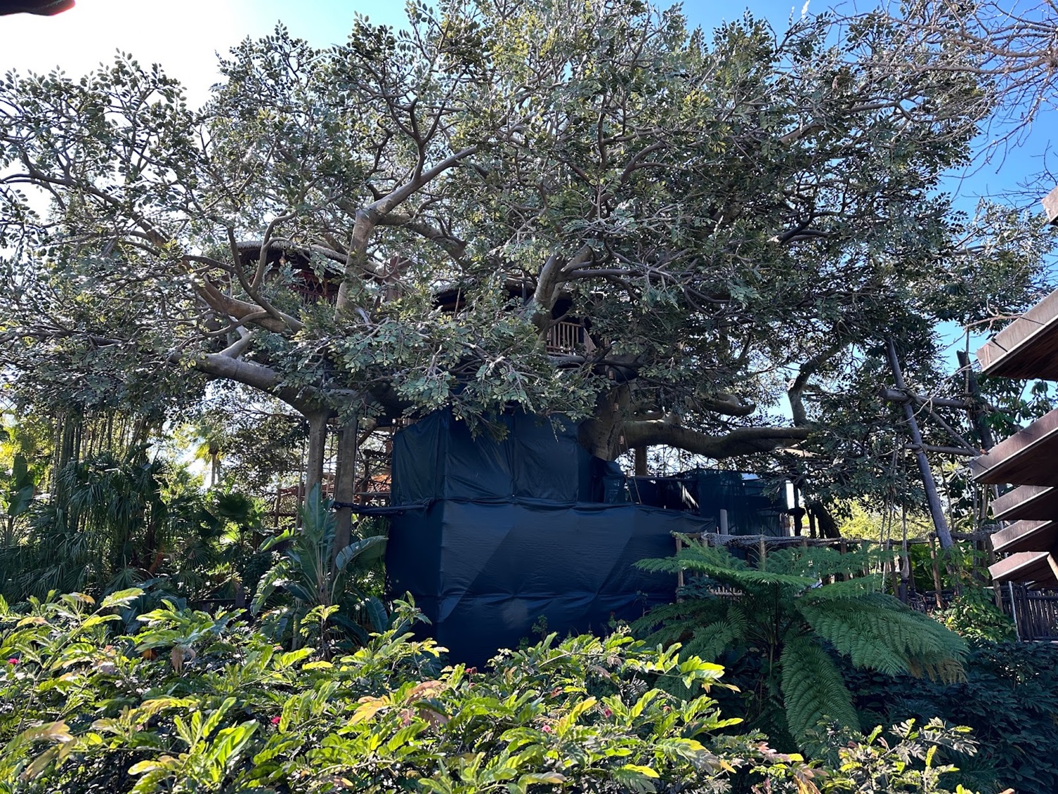 Photos: Swiss Family Treehouse Closed for Refurbishment at the Magic ...