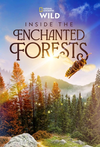 Review: National Geographic's "Inside the Enchanted Forests" Explores the Fantastical Reality of ...