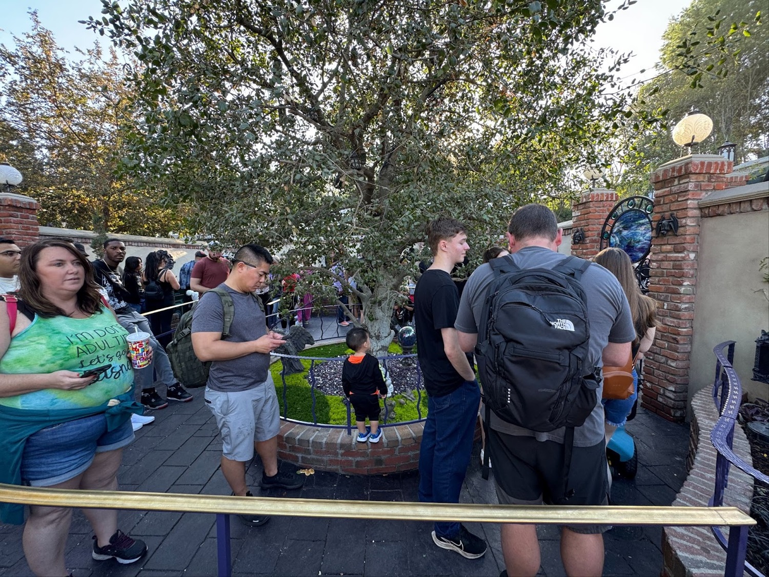 Photos/Audio: Disneyland's Haunted Mansion Opens Reimagined Queue with ...